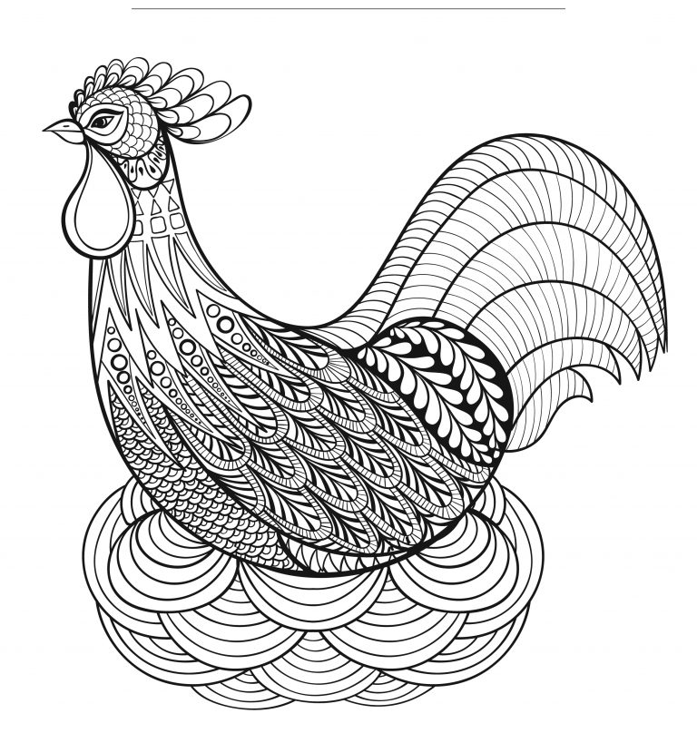 Backyard Poultry Coloring Pages 2017 - Backyard Poultry